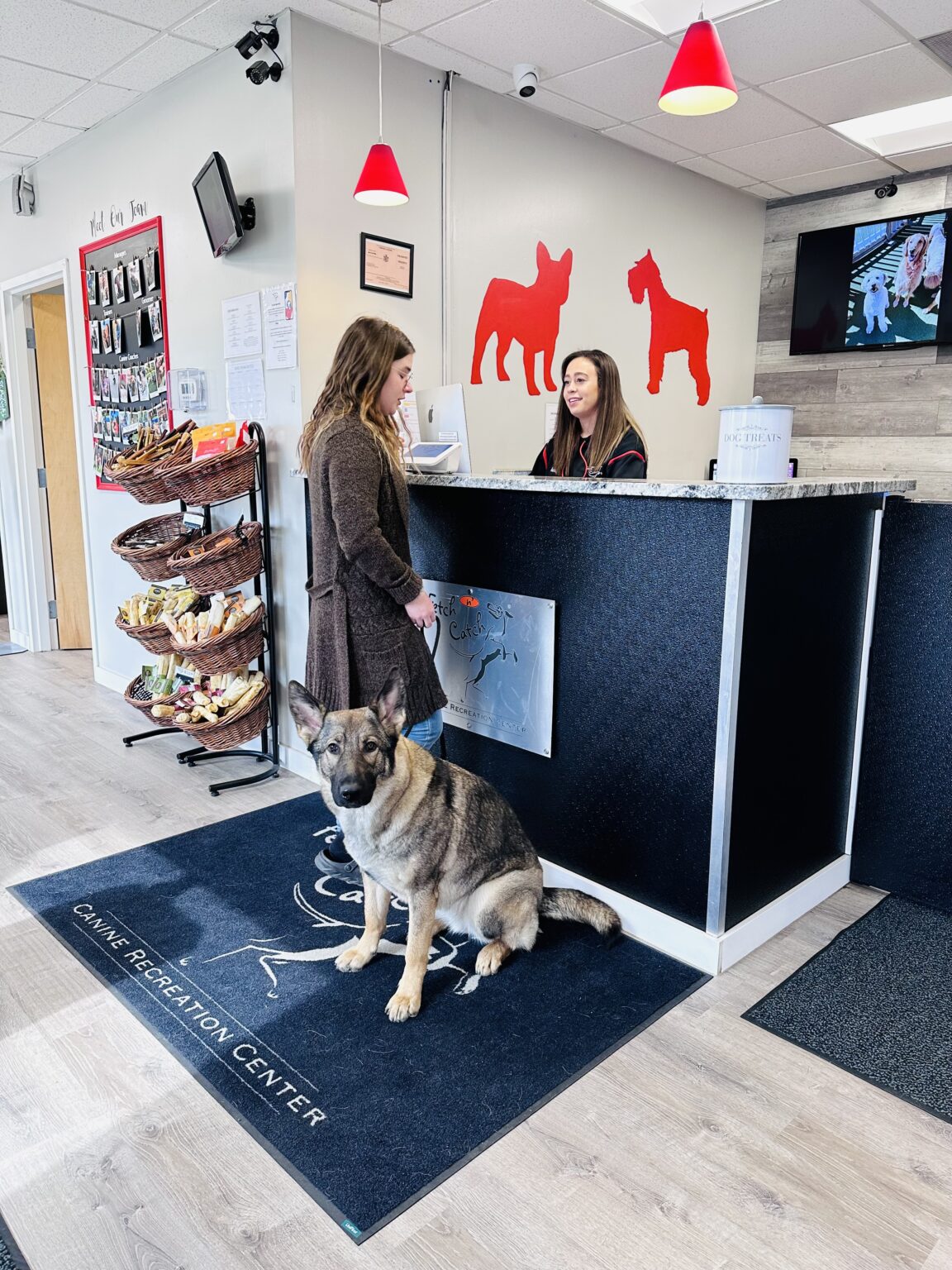 Join Our Team - Fetch N' Catch