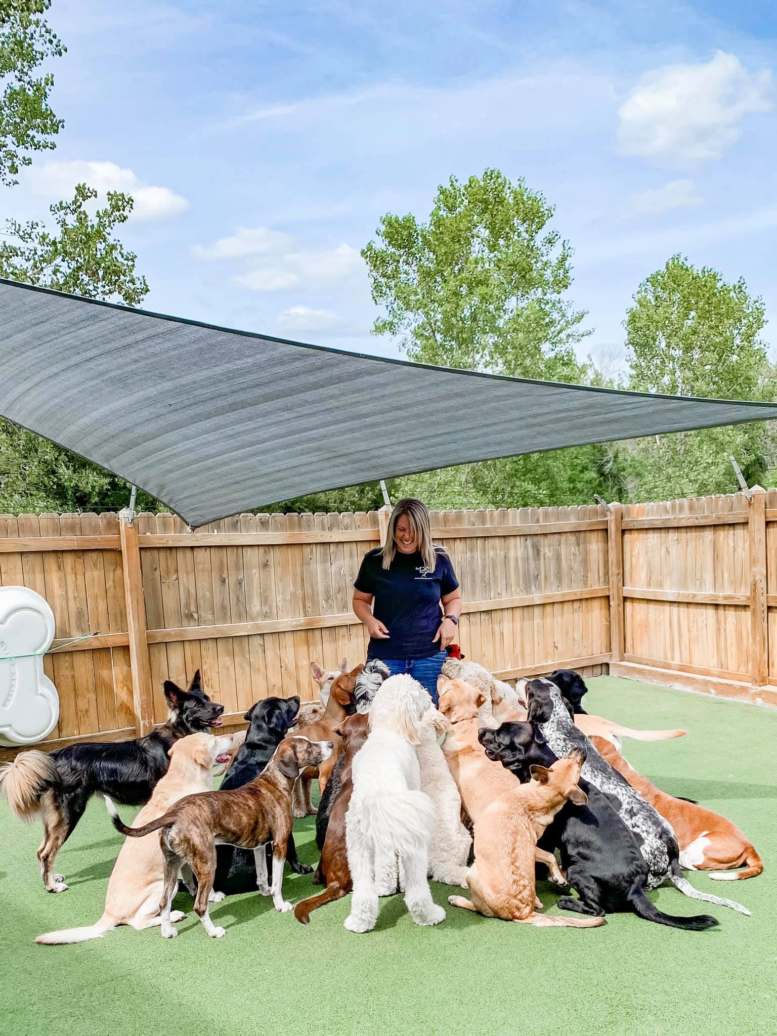 Services - Fetch N' Catch